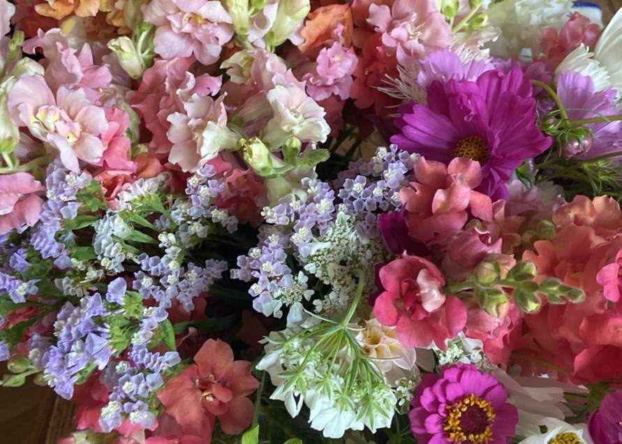 Flower Farm – THE HOMESTEAD AT LITTLE CREEK